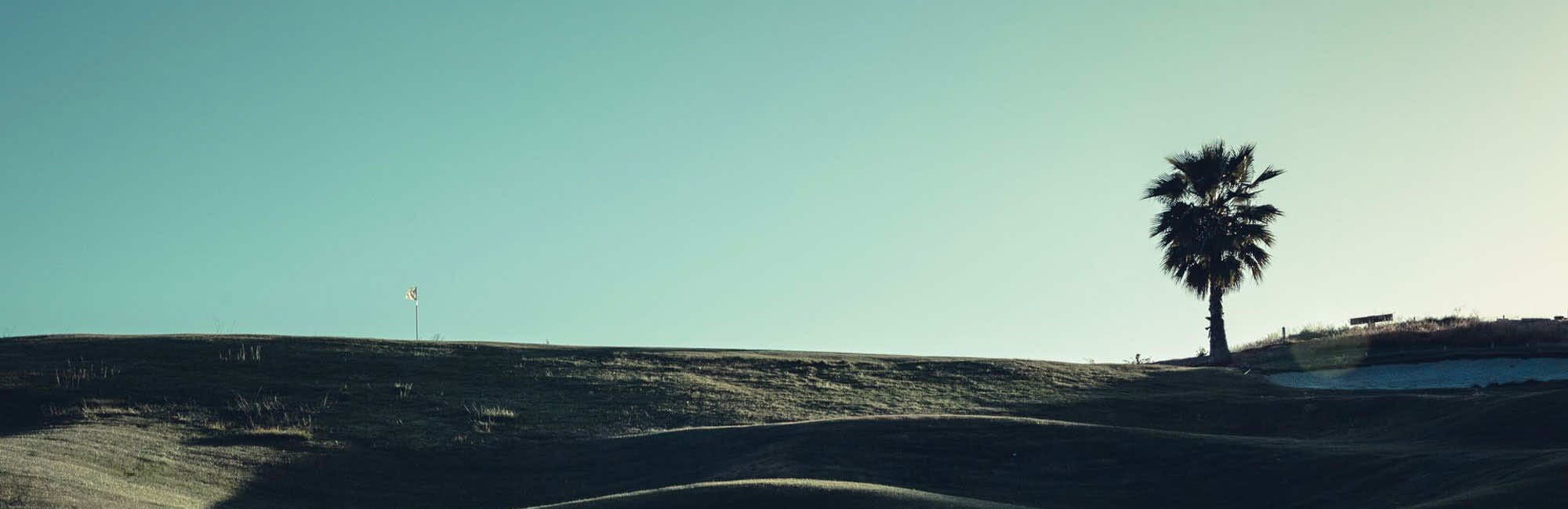 Golf Division - LINKSOUL